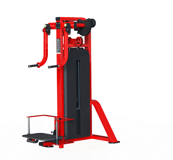 STANDING LATERAL RAISE MACHINE – Real Swiss Fitness