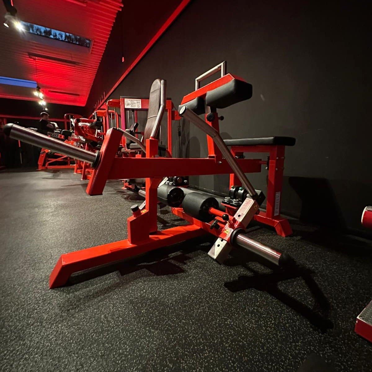 Calf / Tibia Raise Machine – Real Swiss Fitness