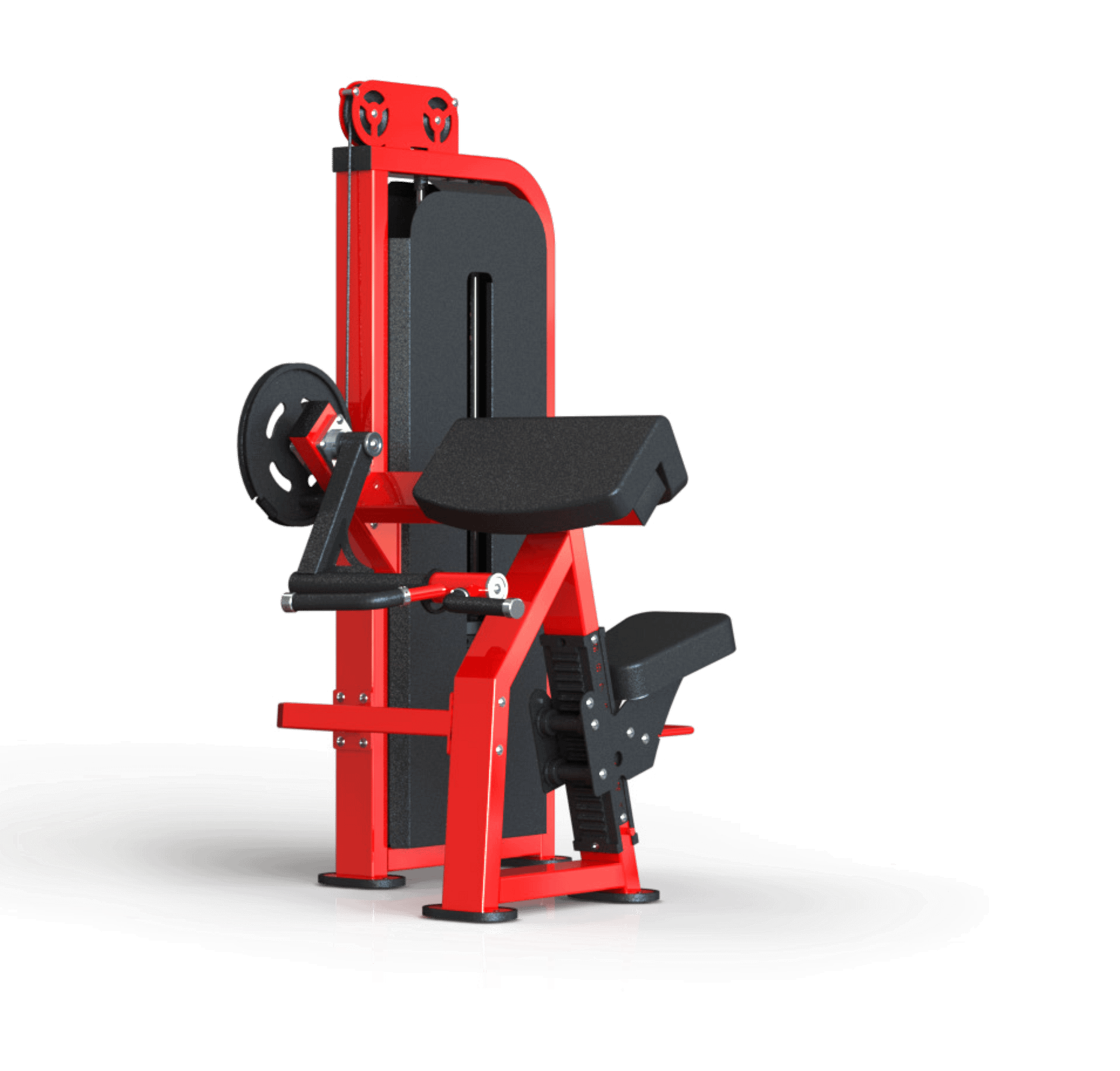 BICEP CURL – Real Swiss Fitness